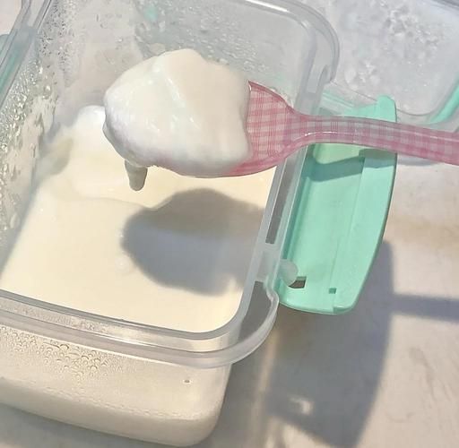 自制酸奶图片大全_如何在家做出拉丝酸奶-第3张图片-山城妙识