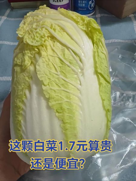 白菜价格今日多少钱一斤_白菜最新行情还会涨吗-第2张图片-山城妙识 白菜价格今日多少钱一斤_白菜最新行情还会涨吗-第2张图片-山城妙识