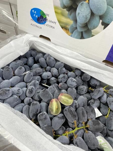 黑加仑多少钱一斤_黑加仑价格受哪些因素影响-第2张图片-山城妙识 黑加仑多少钱一斤_黑加仑价格受哪些因素影响-第2张图片-山城妙识