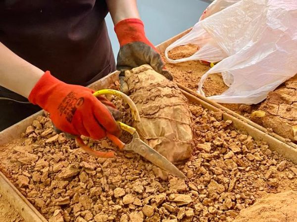 82年叫花鸡配方_正宗做法怎么做-第1张图片-山城妙识 82年叫花鸡配方_正宗做法怎么做-第1张图片-山城妙识