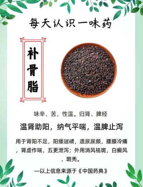 补骨脂对女性的功效与作用_补骨脂能调节雌激素吗-第1张图片-山城妙识