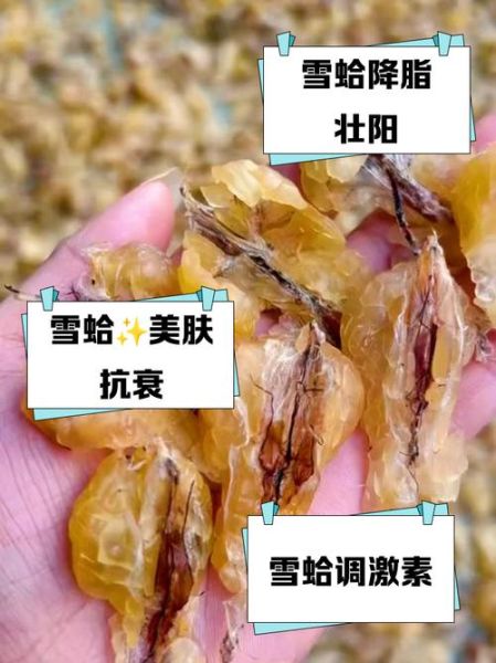 雪蛤吃了最明显效果_雪蛤多久见效-第2张图片-山城妙识 雪蛤吃了最明显效果_雪蛤多久见效-第2张图片-山城妙识