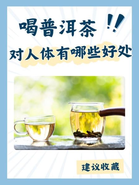 喝普洱茶有什么好处和坏处_长期饮用影响-第1张图片-山城妙识 喝普洱茶有什么好处和坏处_长期饮用影响-第1张图片-山城妙识