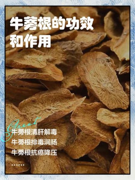 牛蒡与什么食物相克_牛蒡不能和什么一起吃-第2张图片-山城妙识