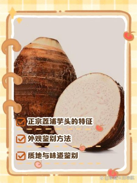 芋头图片大全大图_如何挑选优质芋头-第1张图片-山城妙识 芋头图片大全大图_如何挑选优质芋头-第1张图片-山城妙识