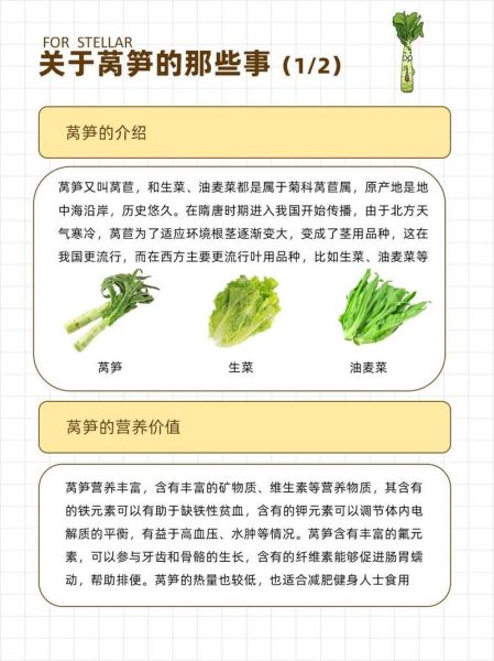 莴苣的营养价值_莴苣的功效与作用-第2张图片-山城妙识 莴苣的营养价值_莴苣的功效与作用-第2张图片-山城妙识
