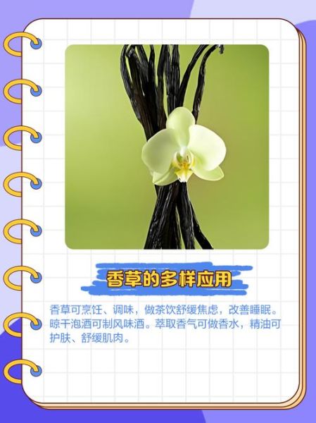 香草app下载大全_香草app安全吗-第2张图片-山城妙识