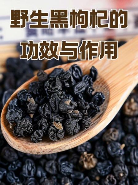 野生黑枸杞怎么泡_黑枸杞泡水水温多少合适-第3张图片-山城妙识