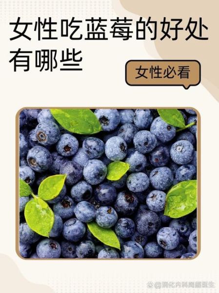 蓝莓的营养价值有哪些_蓝莓的功效与作用怎么吃最好-第3张图片-山城妙识 蓝莓的营养价值有哪些_蓝莓的功效与作用怎么吃最好-第3张图片-山城妙识