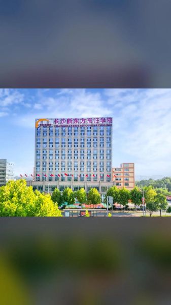 长沙新东方烹饪学院学费多少钱_长沙新东方烹饪学院怎么样-第3张图片-山城妙识