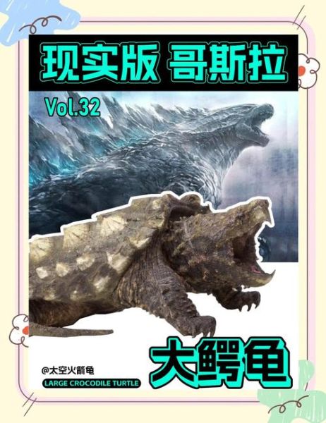 鳄龟怎么养_鳄龟吃什么-第2张图片-山城妙识