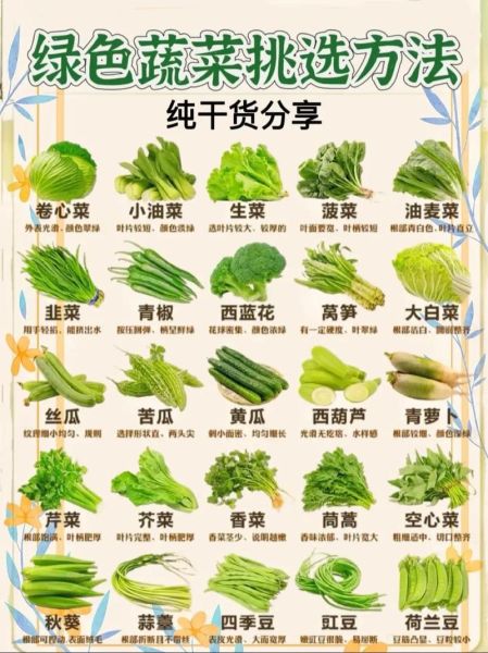 青菜怎么挑选新鲜_青菜保存方法有哪些-第1张图片-山城妙识