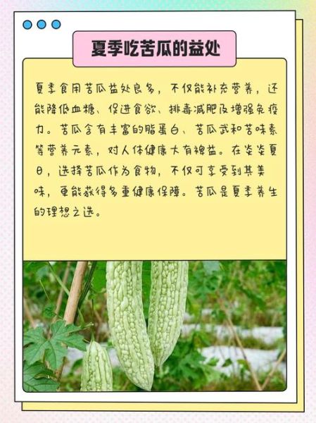 苦瓜怎么吃降血糖_苦瓜降糖的正确吃法-第3张图片-山城妙识