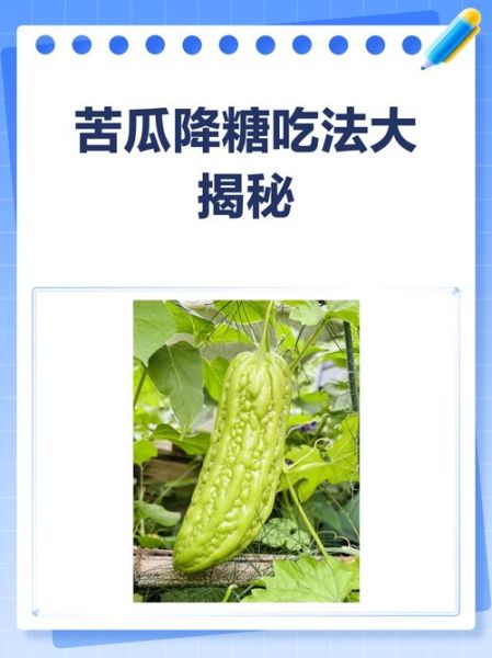 苦瓜怎么吃降血糖_苦瓜降糖的正确吃法-第2张图片-山城妙识