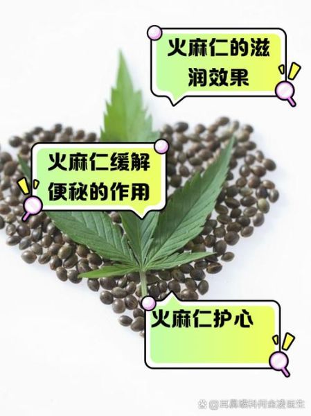 火麻仁的功效与作用_火麻仁的禁忌有哪些-第2张图片-山城妙识