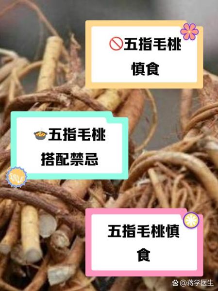 五指毛桃与什么相克_五指毛桃禁忌搭配-第2张图片-山城妙识