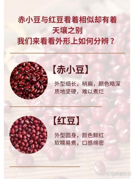 赤小豆和红豆的区别_赤小豆和红豆的功效一样吗-第1张图片-山城妙识