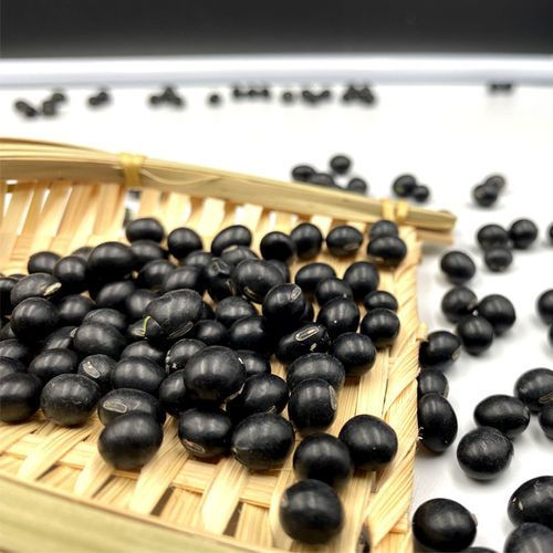 青仁黑豆和黑豆哪个好_区别与功效对比-第2张图片-山城妙识 青仁黑豆和黑豆哪个好_区别与功效对比-第2张图片-山城妙识