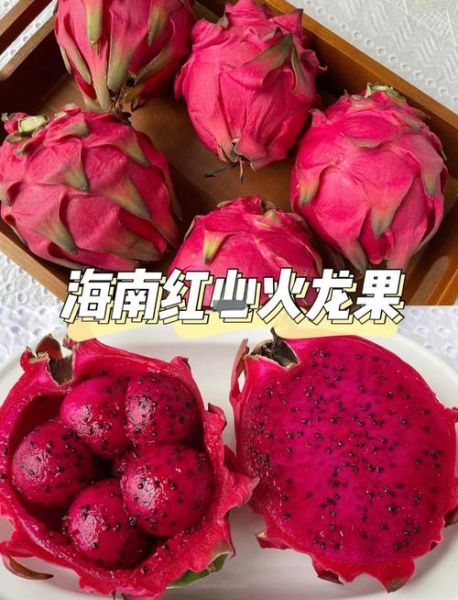 火龙果图片大全大图真实_火龙果怎么挑选才甜-第1张图片-山城妙识 火龙果图片大全大图真实_火龙果怎么挑选才甜-第1张图片-山城妙识
