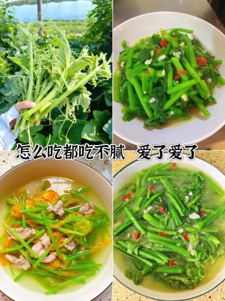 青南瓜怎么做好吃_青南瓜的做法大全-第2张图片-山城妙识