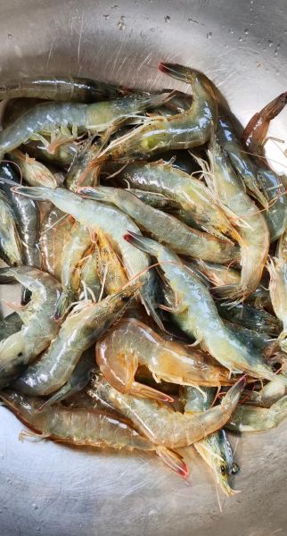 虾酱怎么制作_家庭版虾酱做法-第1张图片-山城妙识