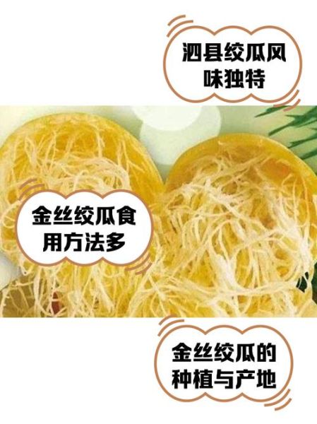金丝瓜怎么吃_金丝瓜的做法大全-第1张图片-山城妙识