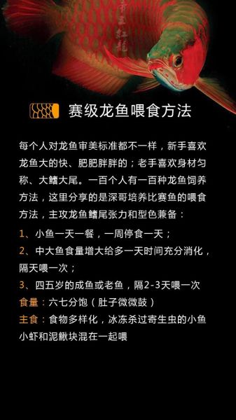 龙鱼怎么养_龙鱼饲养常见问题-第1张图片-山城妙识 龙鱼怎么养_龙鱼饲养常见问题-第1张图片-山城妙识