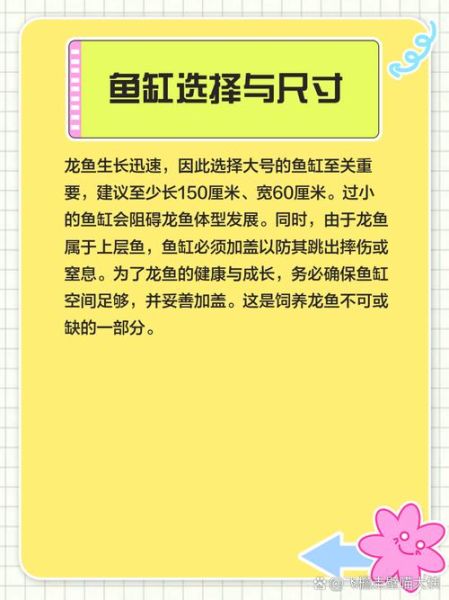 龙鱼怎么养_龙鱼饲养常见问题-第3张图片-山城妙识 龙鱼怎么养_龙鱼饲养常见问题-第3张图片-山城妙识