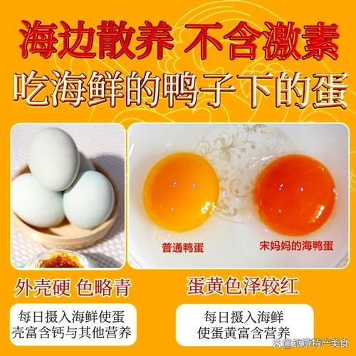 海鸭蛋是什么_海鸭蛋和普通鸭蛋区别-第1张图片-山城妙识