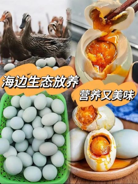海鸭蛋是什么_海鸭蛋和普通鸭蛋区别-第3张图片-山城妙识