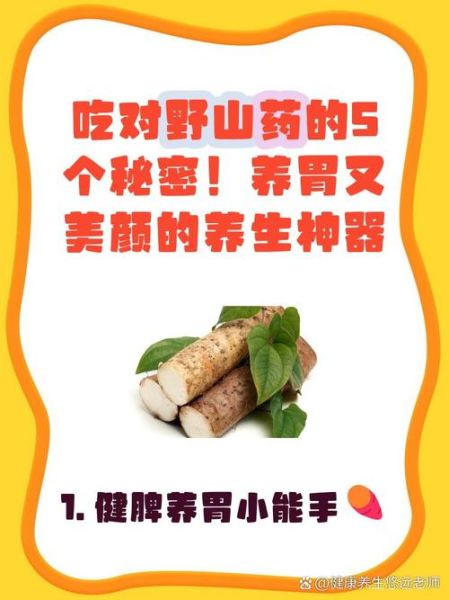 野山药的功效与作用_野山药怎么吃最补-第1张图片-山城妙识