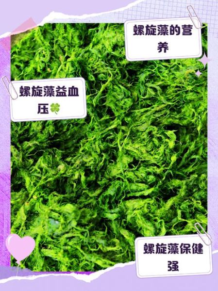 螺旋藻的功效与作用有哪些_螺旋藻怎么吃效果最好-第2张图片-山城妙识 螺旋藻的功效与作用有哪些_螺旋藻怎么吃效果最好-第2张图片-山城妙识