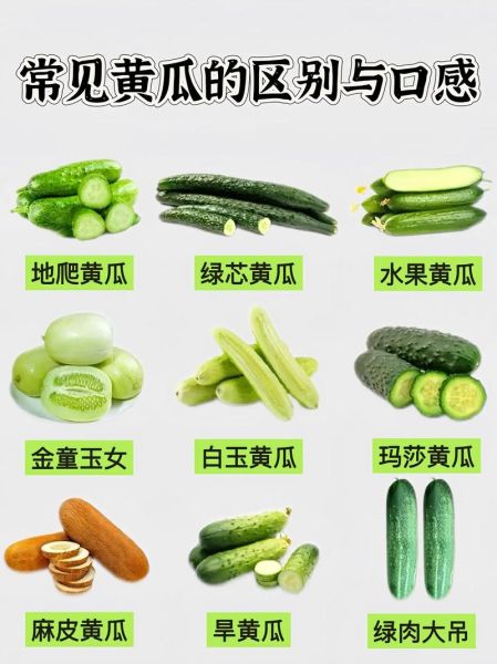 黄瓜和苦瓜的区别_如何挑选新鲜瓜类蔬菜-第3张图片-山城妙识