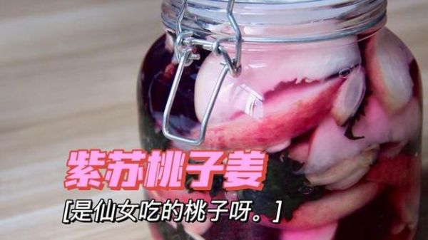 桃子视频怎么下载_桃子视频会员多少钱-第1张图片-山城妙识 桃子视频怎么下载_桃子视频会员多少钱-第1张图片-山城妙识