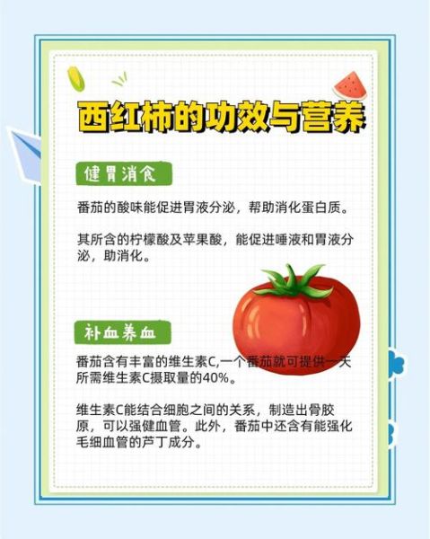 西红柿的功效与作用禁忌_西红柿的正确吃法-第3张图片-山城妙识 西红柿的功效与作用禁忌_西红柿的正确吃法-第3张图片-山城妙识
