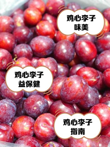 鸡心不能和什么一起吃_鸡心相克食物有哪些-第1张图片-山城妙识 鸡心不能和什么一起吃_鸡心相克食物有哪些-第1张图片-山城妙识