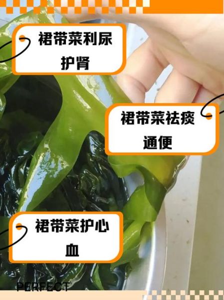 裙带菜的功效与作用及禁忌_什么人不能吃裙带菜-第2张图片-山城妙识 裙带菜的功效与作用及禁忌_什么人不能吃裙带菜-第2张图片-山城妙识