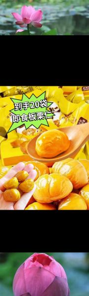 生板栗仁怎么做好吃_生板栗仁的家常做法-第1张图片-山城妙识