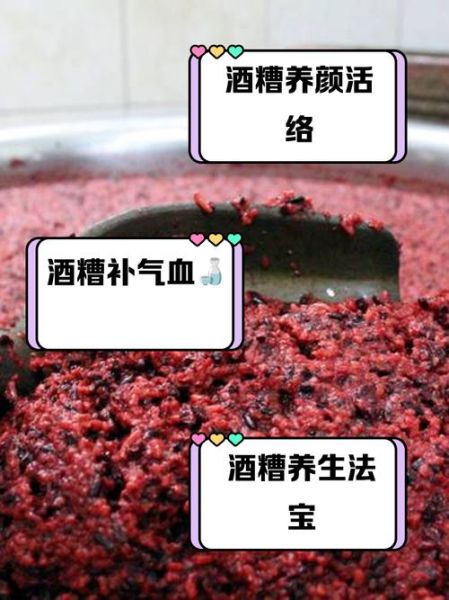 酒糟怎么吃_酒糟的功效与作用-第3张图片-山城妙识