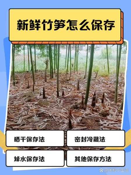 新鲜竹笋焯水要放盐吗_竹笋焯水正确方法-第3张图片-山城妙识 新鲜竹笋焯水要放盐吗_竹笋焯水正确方法-第3张图片-山城妙识