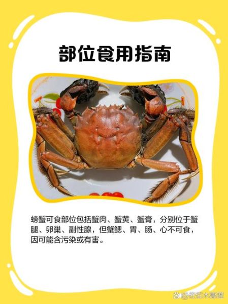 吃螃蟹的正确步骤_如何优雅吃蟹不扎手-第2张图片-山城妙识