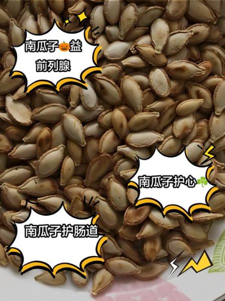 南瓜子能提高性功能吗_南瓜子对男性性功能有什么好处-第3张图片-山城妙识 南瓜子能提高性功能吗_南瓜子对男性性功能有什么好处-第3张图片-山城妙识