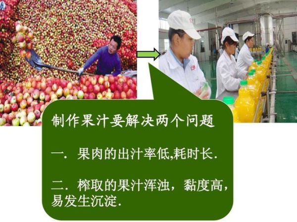 果胶酶在果汁生产中的作用_如何提高出汁率-第1张图片-山城妙识 果胶酶在果汁生产中的作用_如何提高出汁率-第1张图片-山城妙识