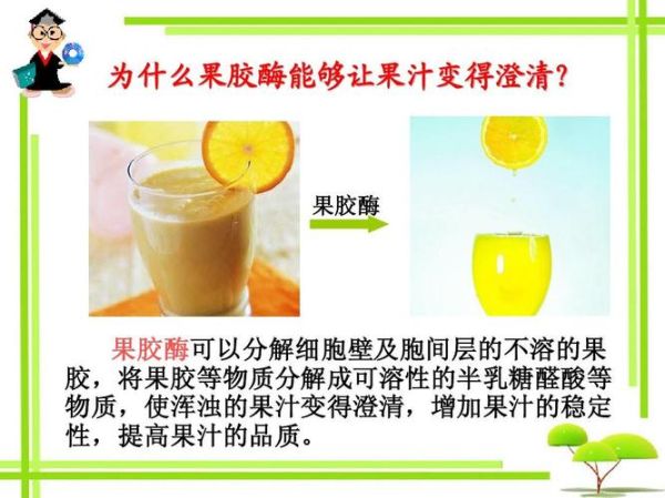果胶酶在果汁生产中的作用_如何提高出汁率-第2张图片-山城妙识 果胶酶在果汁生产中的作用_如何提高出汁率-第2张图片-山城妙识