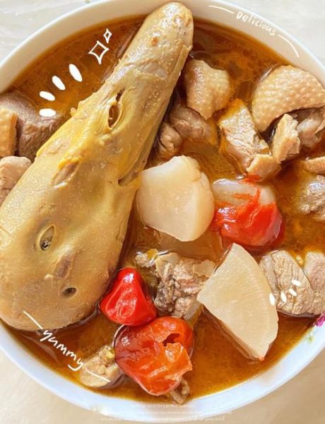 鸭汤的做法大全家常_老鸭汤怎么炖好喝-第1张图片-山城妙识