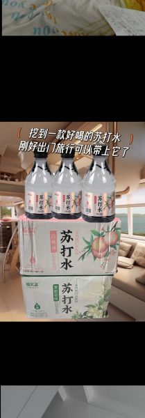 苏打水怎么做_苏打水简单教程-第1张图片-山城妙识