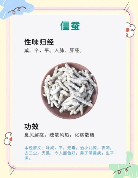僵蚕的功效与作用_僵蚕能治疗哪些病-第1张图片-山城妙识