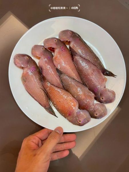 鹦哥鱼怎么做好吃_鹦哥鱼清蒸还是红烧-第1张图片-山城妙识 鹦哥鱼怎么做好吃_鹦哥鱼清蒸还是红烧-第1张图片-山城妙识