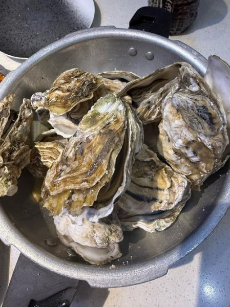 鲜贝的功效与作用_鲜贝怎么吃最营养-第3张图片-山城妙识