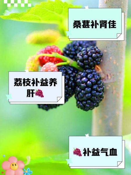 补肾水果有哪些_吃什么水果补肾最快-第3张图片-山城妙识 补肾水果有哪些_吃什么水果补肾最快-第3张图片-山城妙识